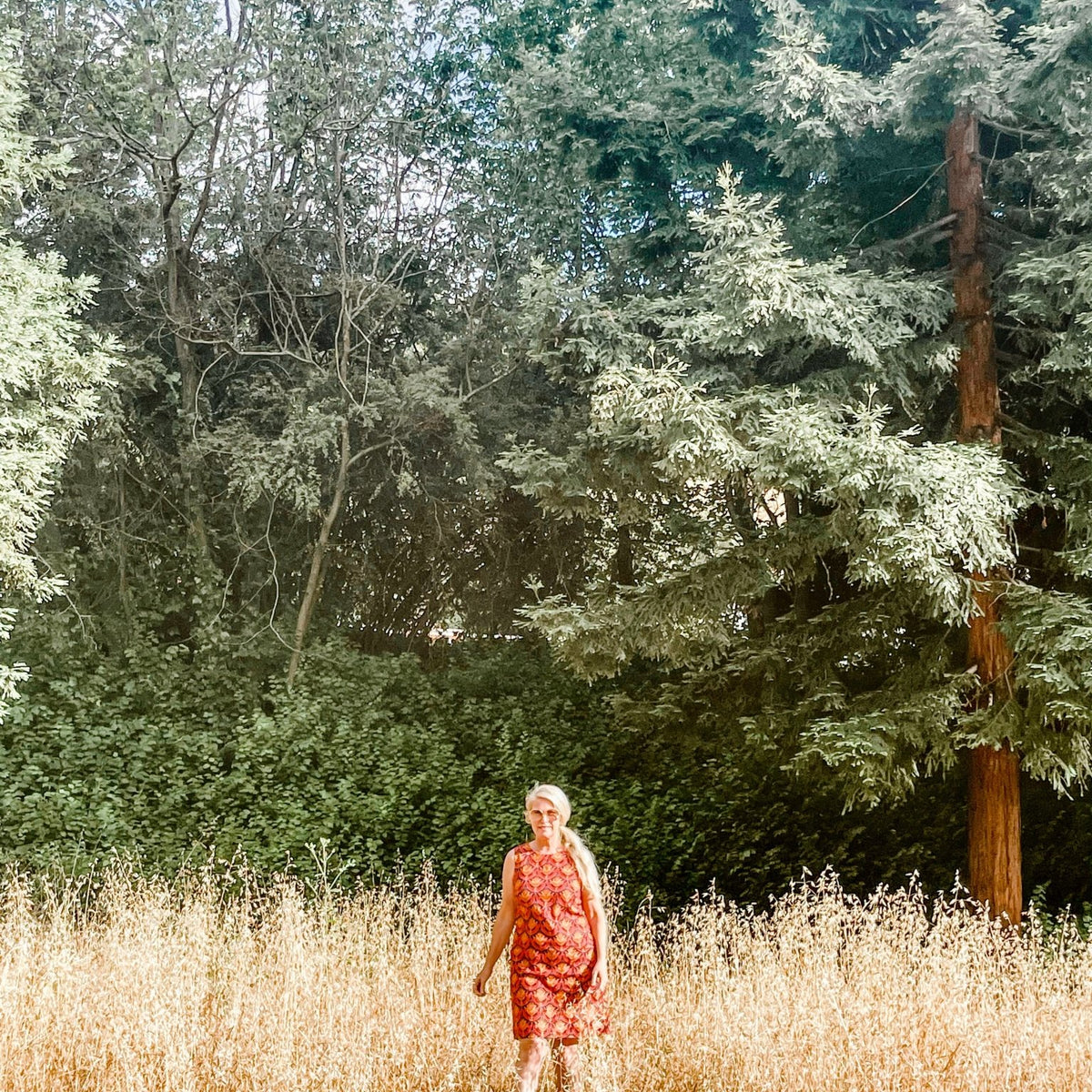 Summer Is Here. – Lesley Evers