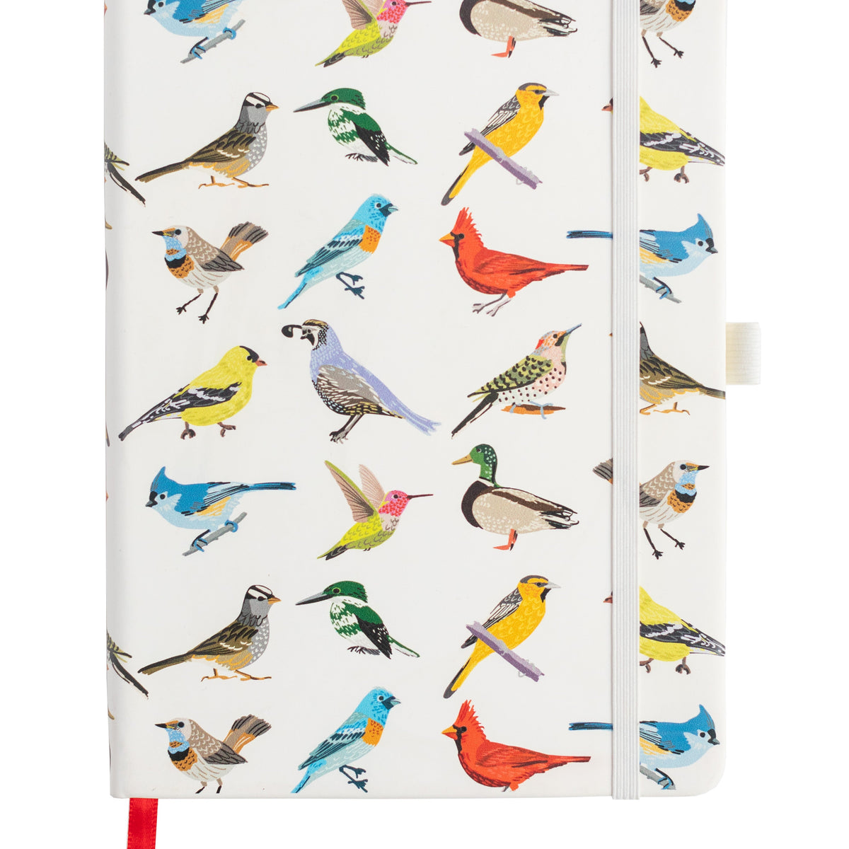 NOTEBOOK Birds – Lesley Evers